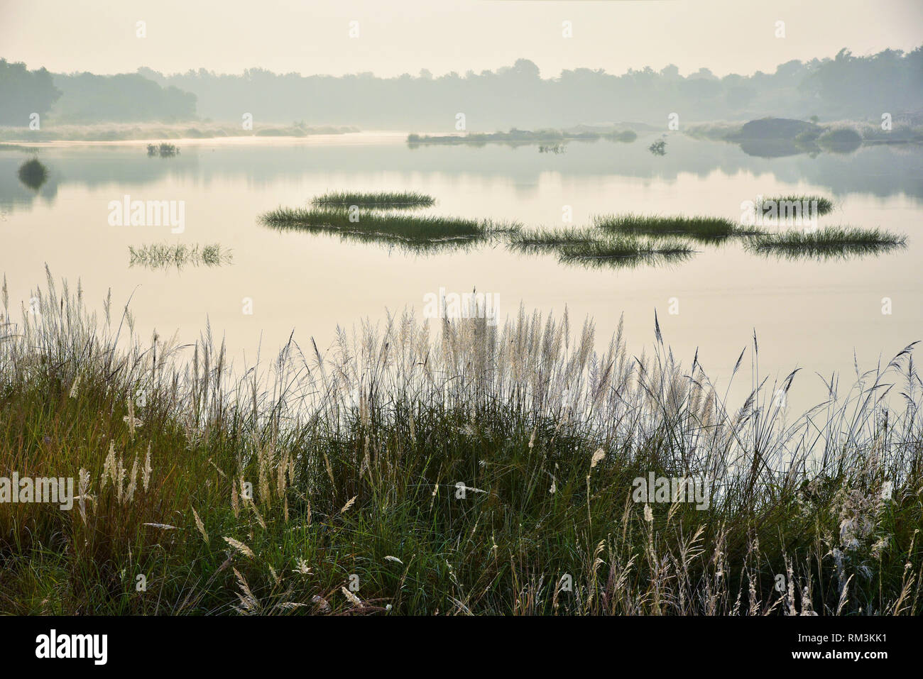 Auranga River, Valsad, Gujarat, India, Asia Stock Photo - Alamy