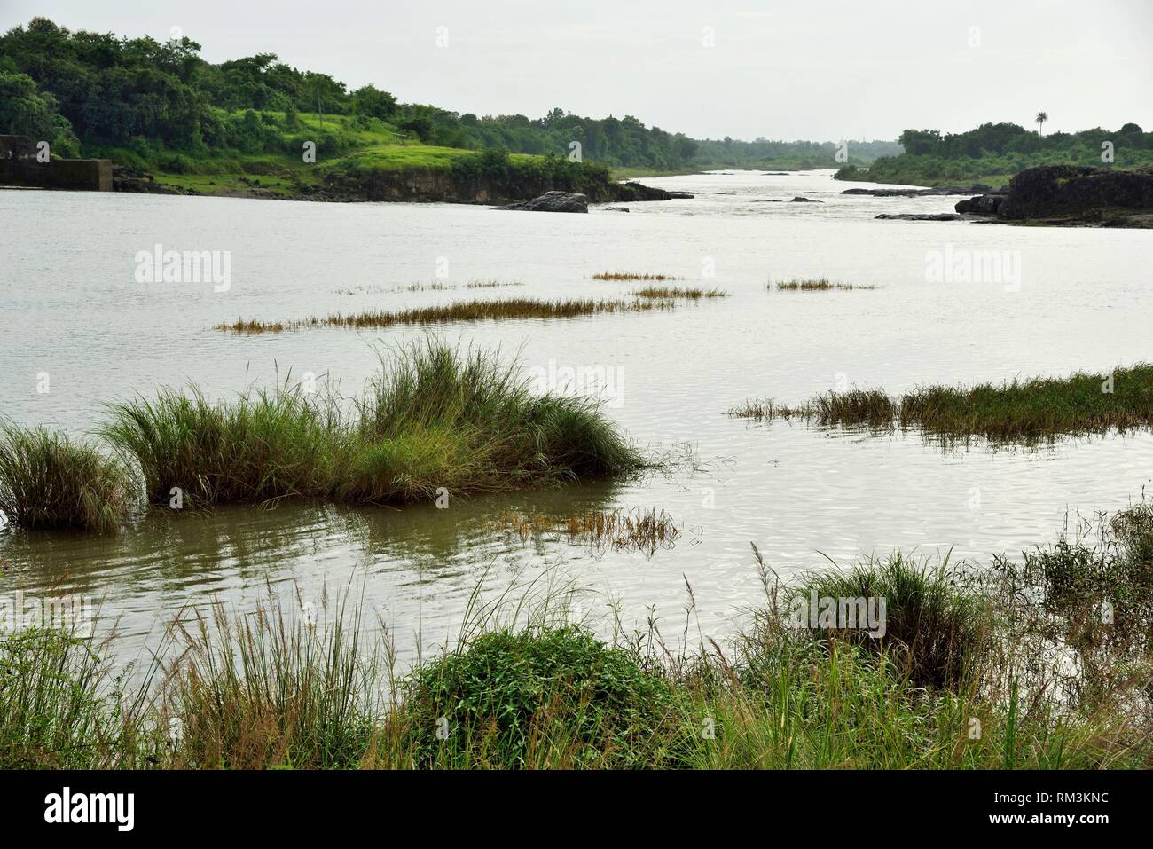 Auranga River, Valsad, Gujarat, India, Asia Stock Photo - Alamy