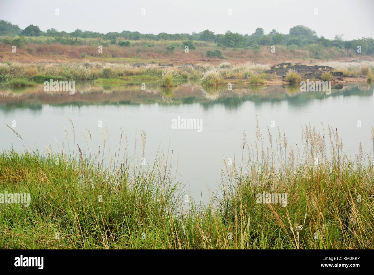 Auranga River, Valsad, Gujarat, India, Asia Stock Photo - Alamy