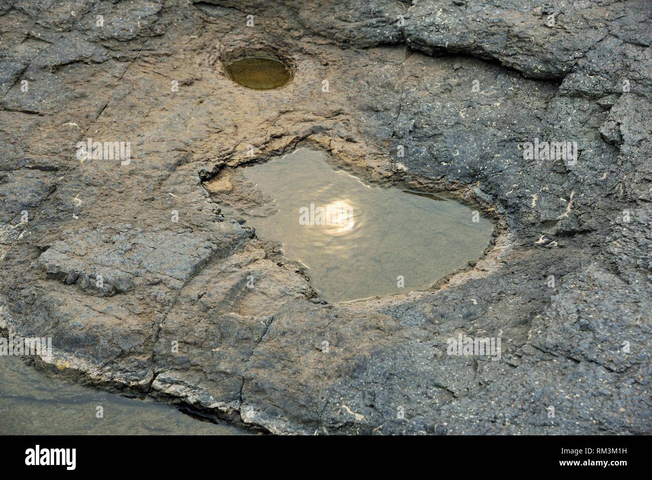 Sun reflection in puddle on rock, Valsad, Gujarat, India, Asia Stock ...