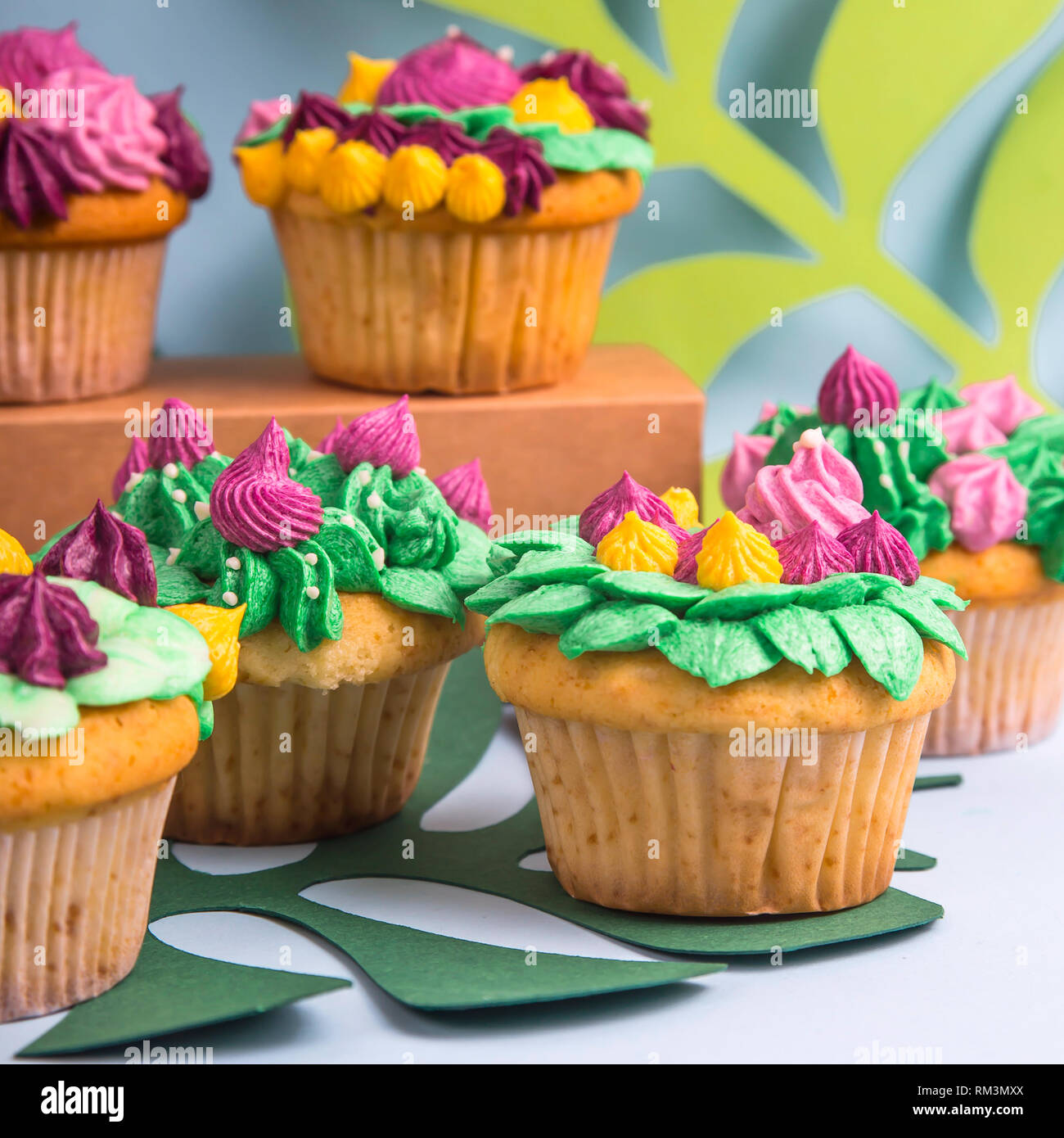 Cactus muffin hi-res stock photography and images - Alamy