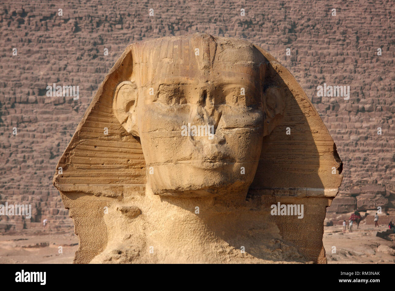 sphynx at the giza pyramids in egypt cairo Stock Photo - Alamy