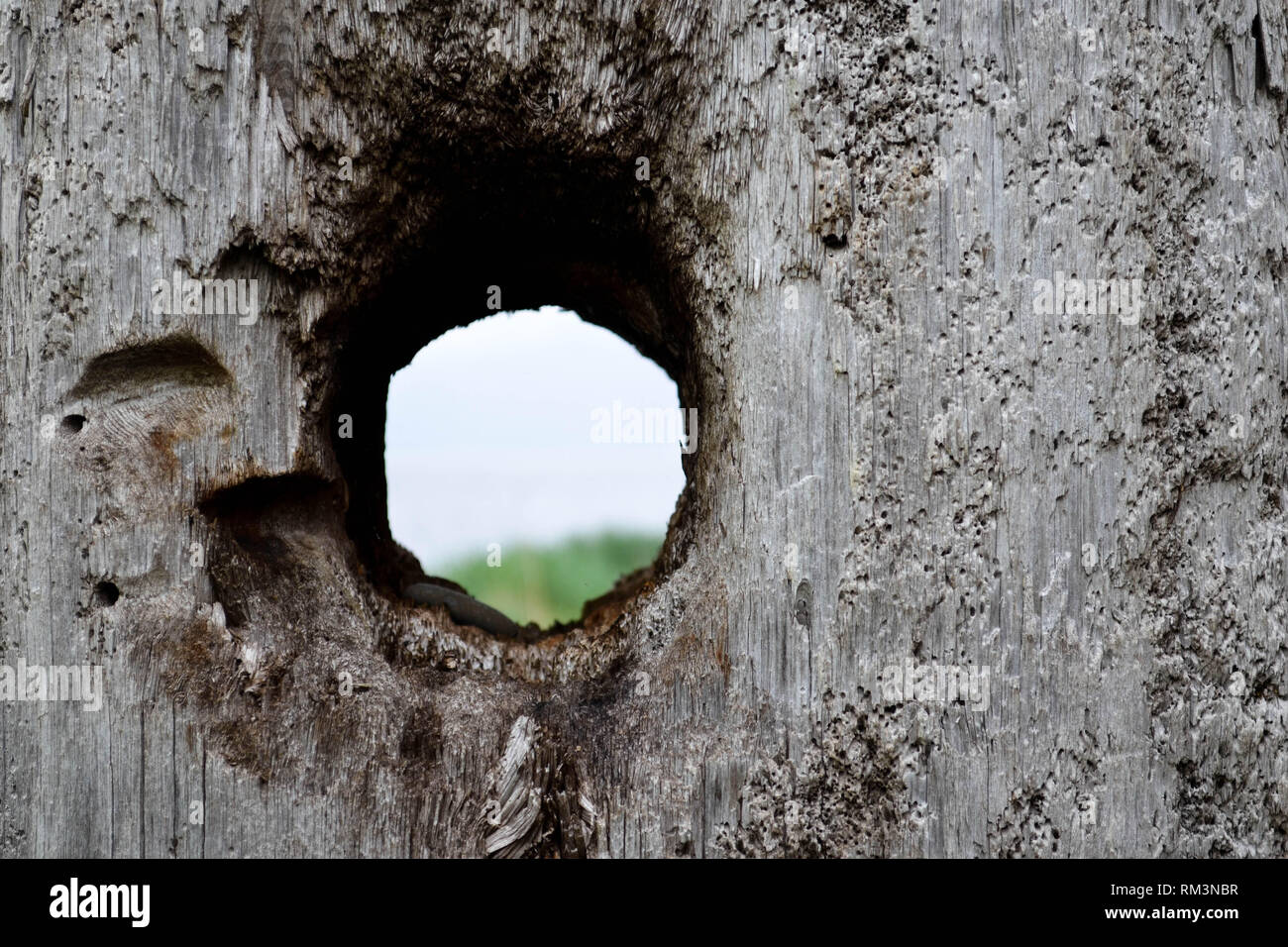 View through a hole in an old wooden post Stock Photo - Alamy