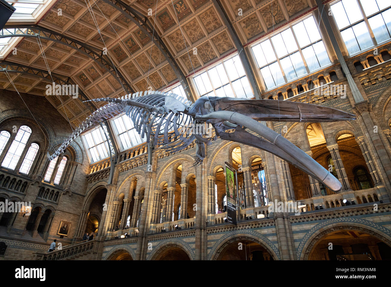 The Natural History Museum, London, Uk Stock Photo - Alamy
