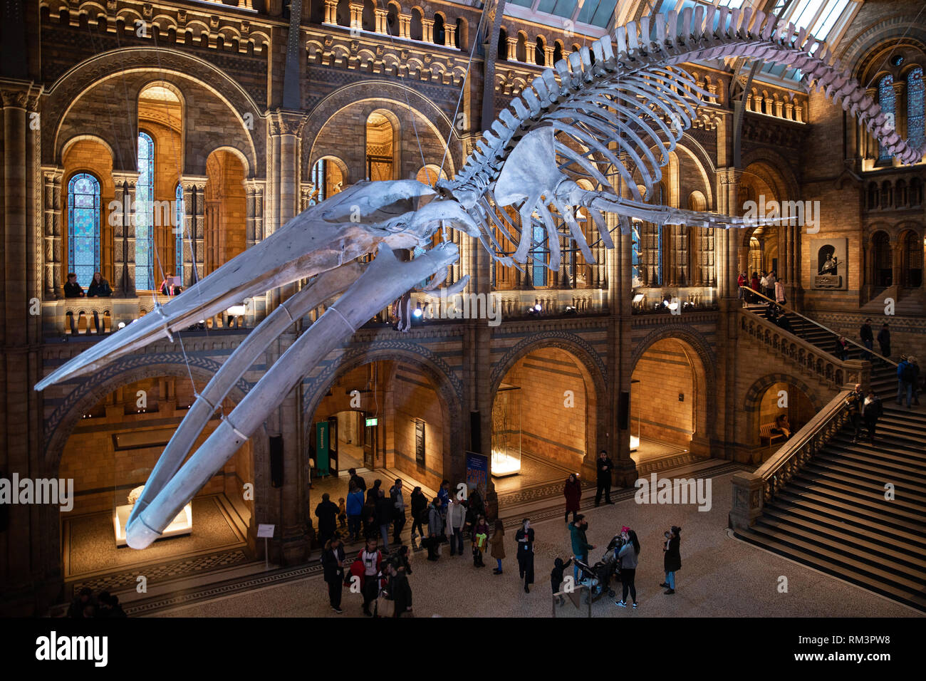 The Natural History Museum, London, Uk Stock Photo - Alamy