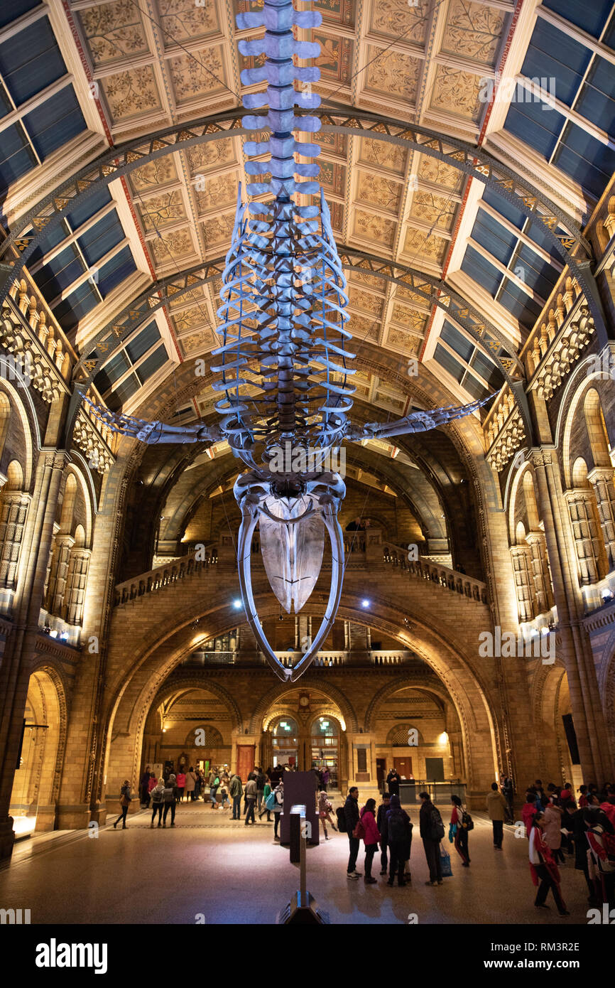 The Natural History Museum, London, Uk Stock Photo - Alamy