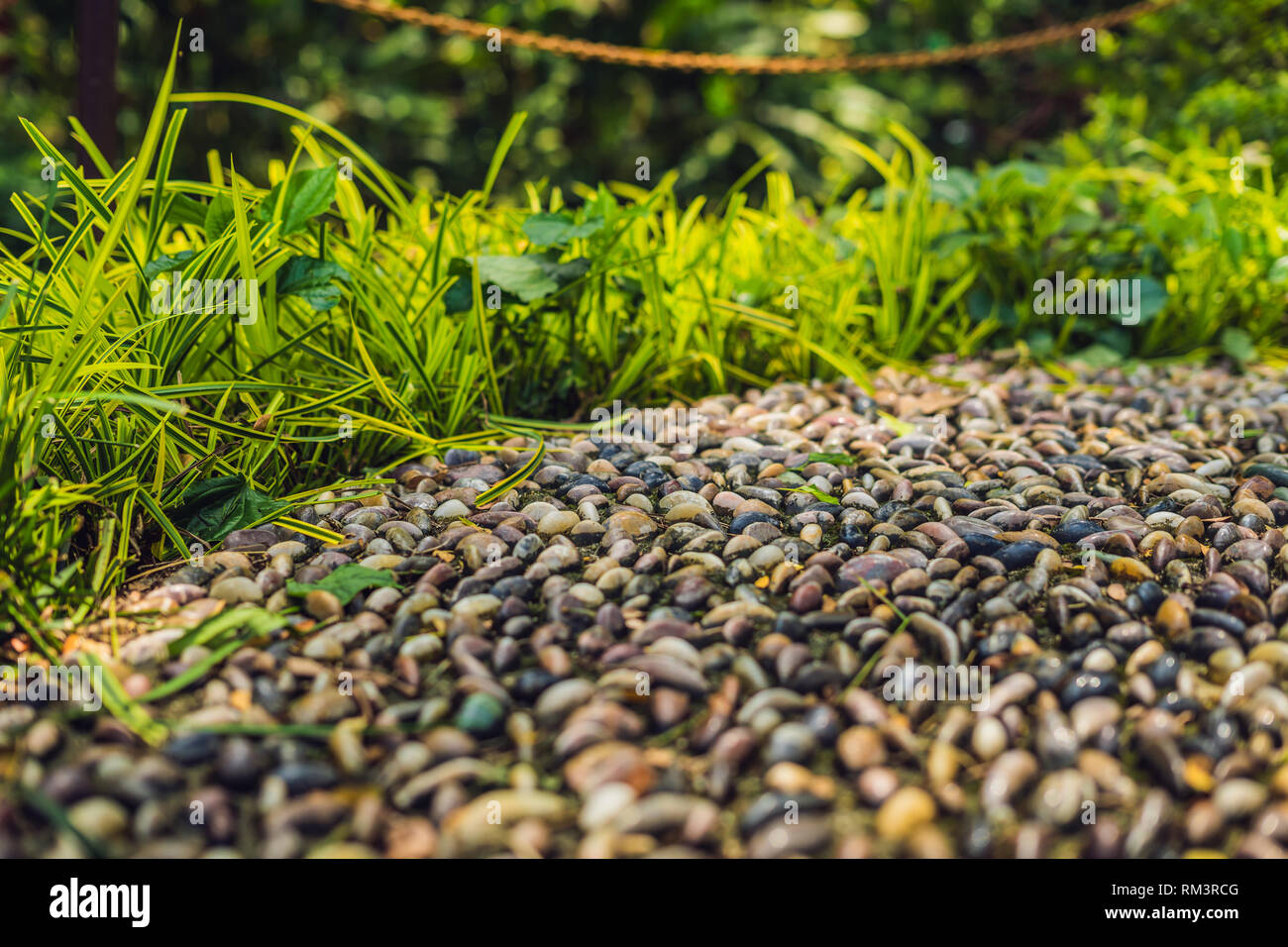 Reflexology path hi-res stock photography and images - Alamy