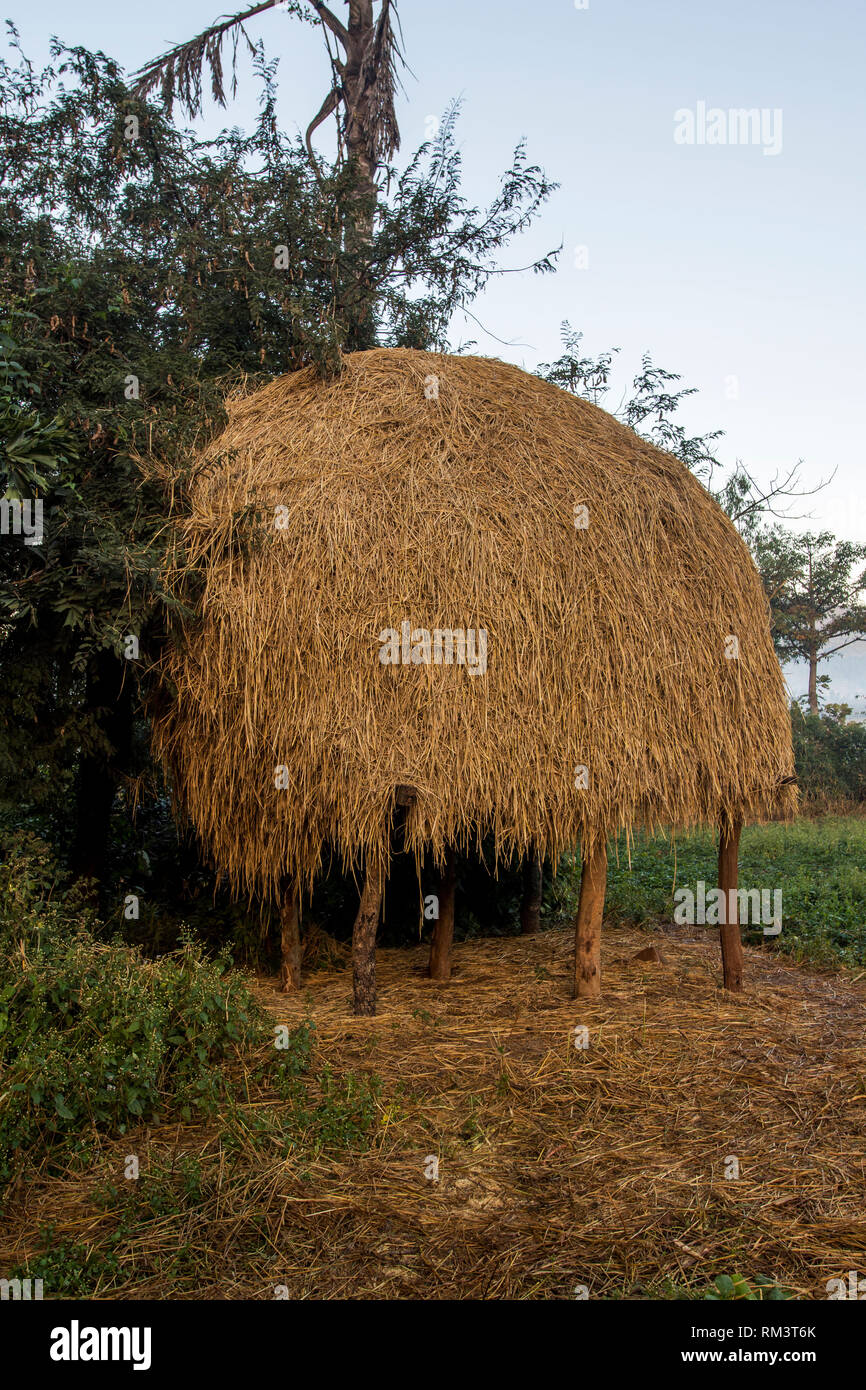 Haystack in field at Andhra Pradesh, India, Asia Stock Photo - Alamy