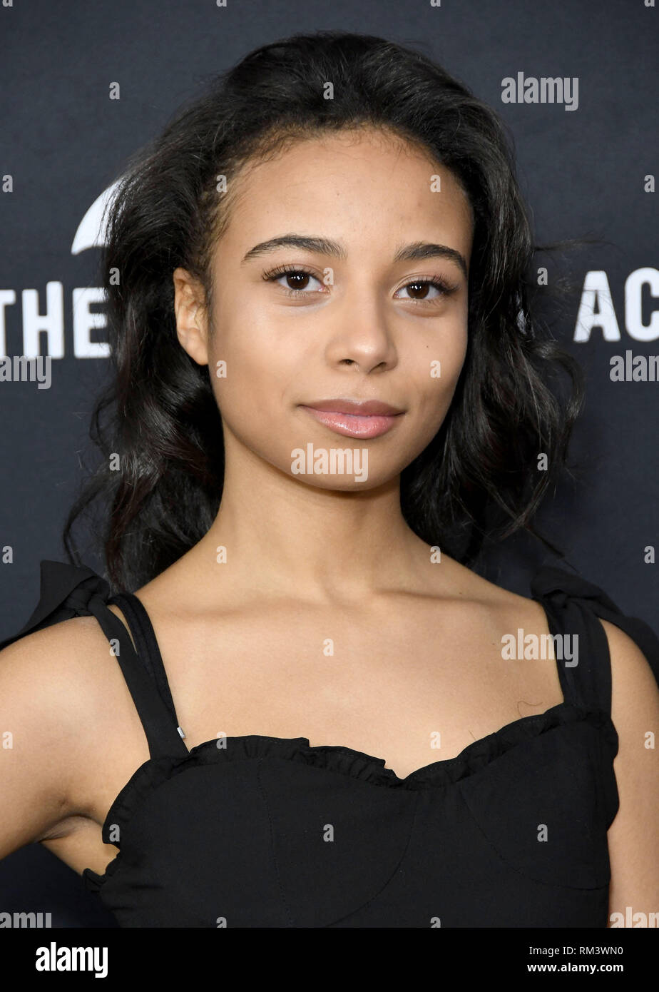 Hollywood, CA, USA. 12th Feb, 2019. 12 February 2019 - Hollywood ...