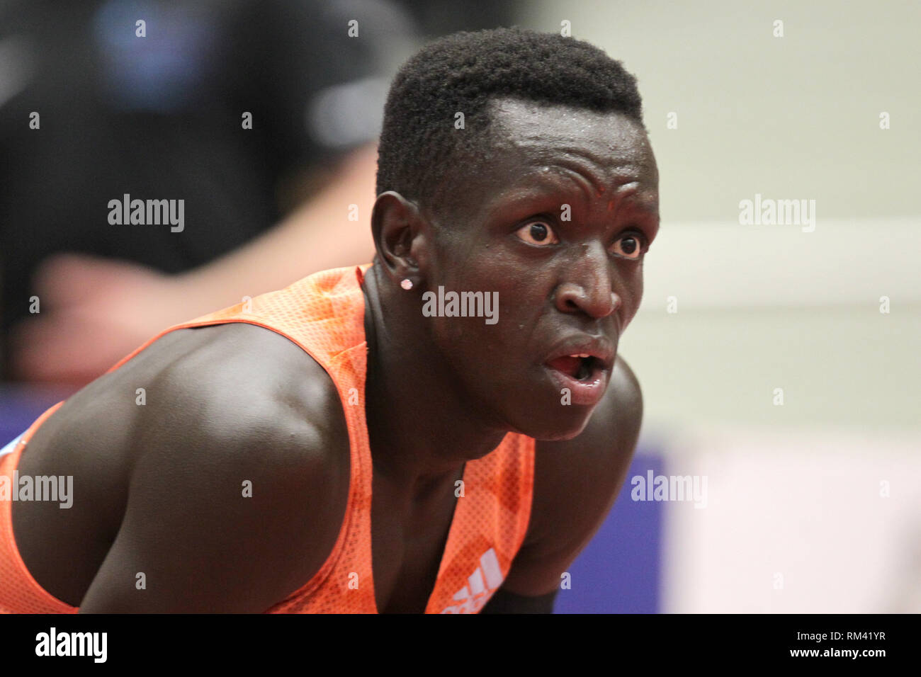 Peter bol hi-res stock photography and images - Alamy