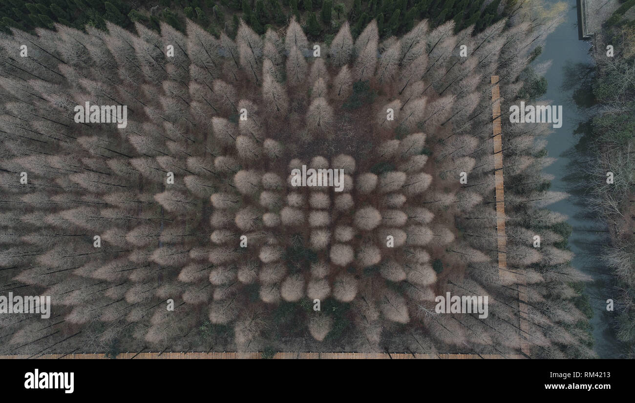 February 13, 2019 - Huai'An, Huai'an, China - HuaiÃ¢â‚¬â„¢an, CHNINA ...