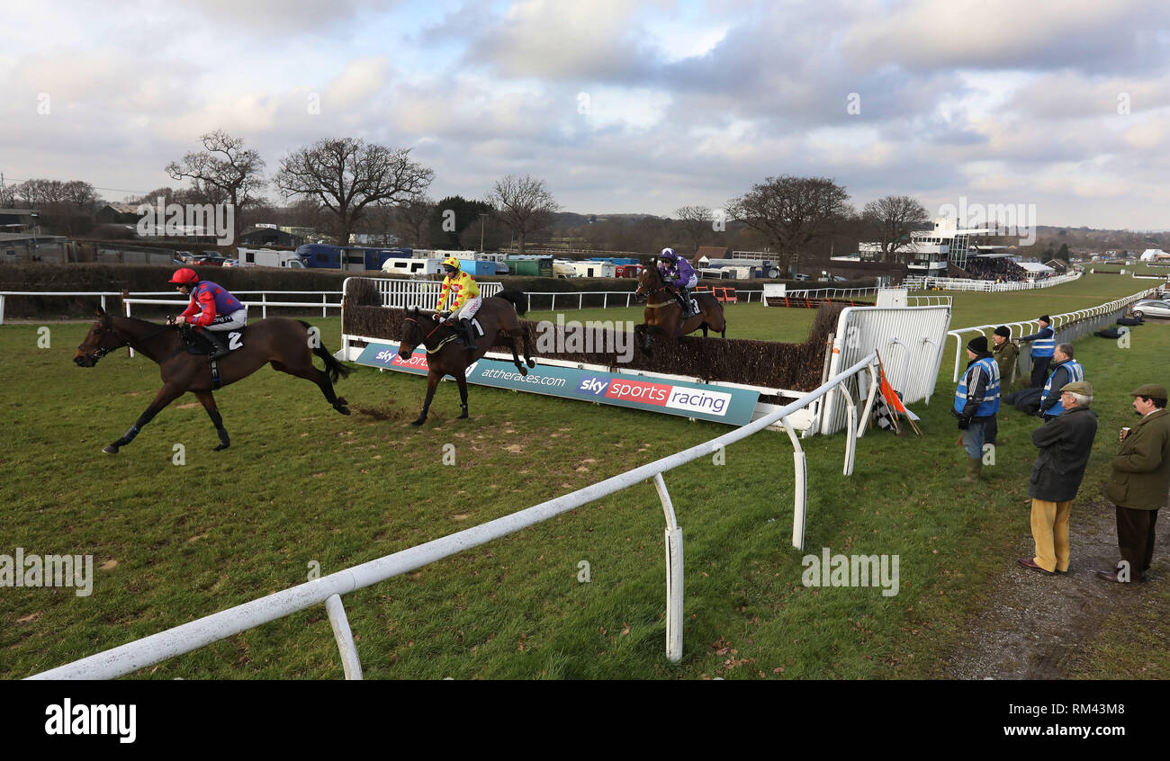 Plumpton, UK. 13 February 2019 Race winner Wayne Hutchinson (Yellow ...