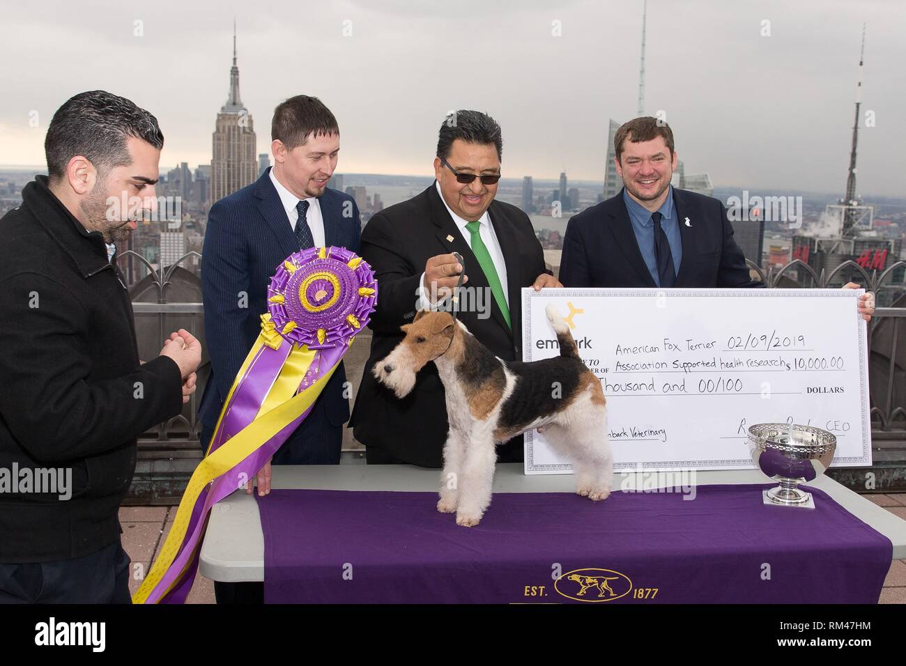 New York, NY, USA. 13th Feb, 2019. guest, Warren Bradley, King, Gabriel ...