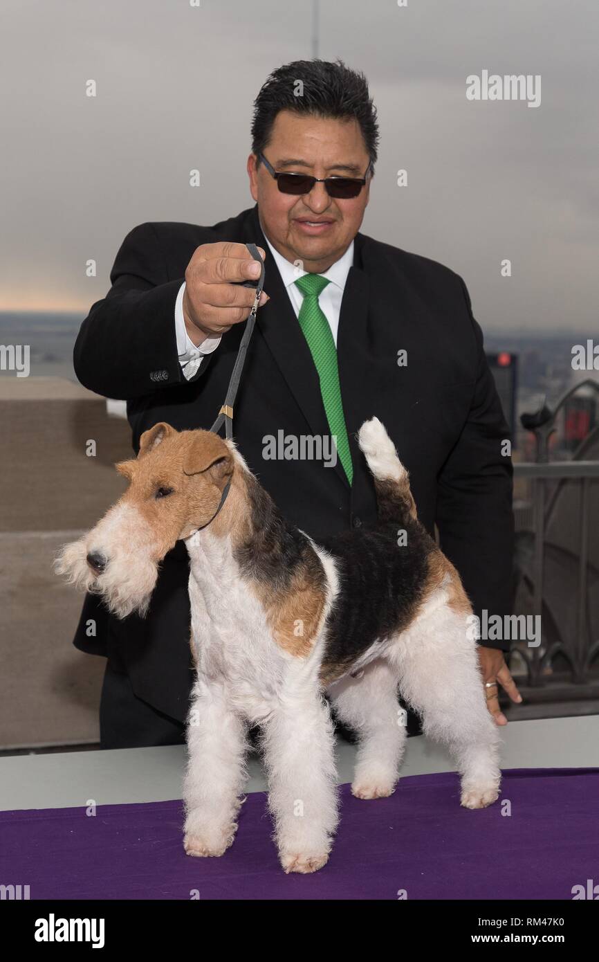 New York, NY, USA. 13th Feb, 2019. King, Gabriel Rangel at a public ...