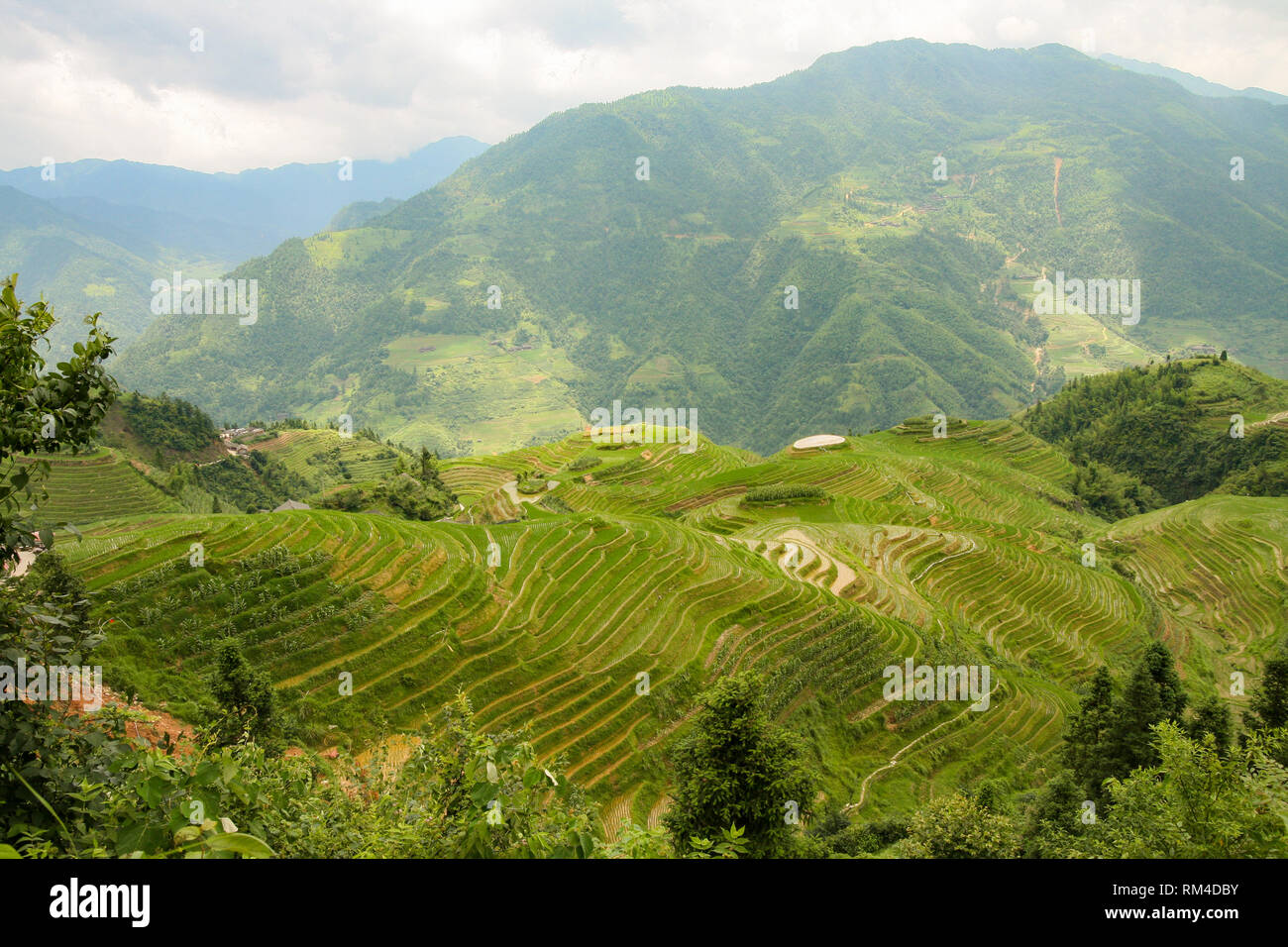 Longsheng rice terraces landscape in China Stock Photo - Alamy