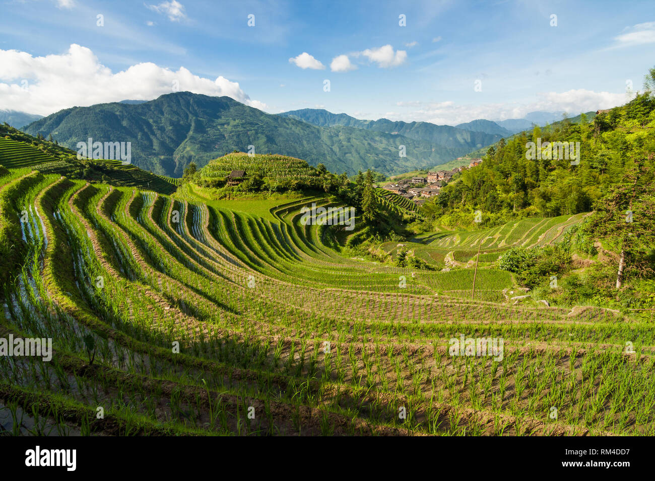 Pingan rice terraces hi-res stock photography and images - Alamy