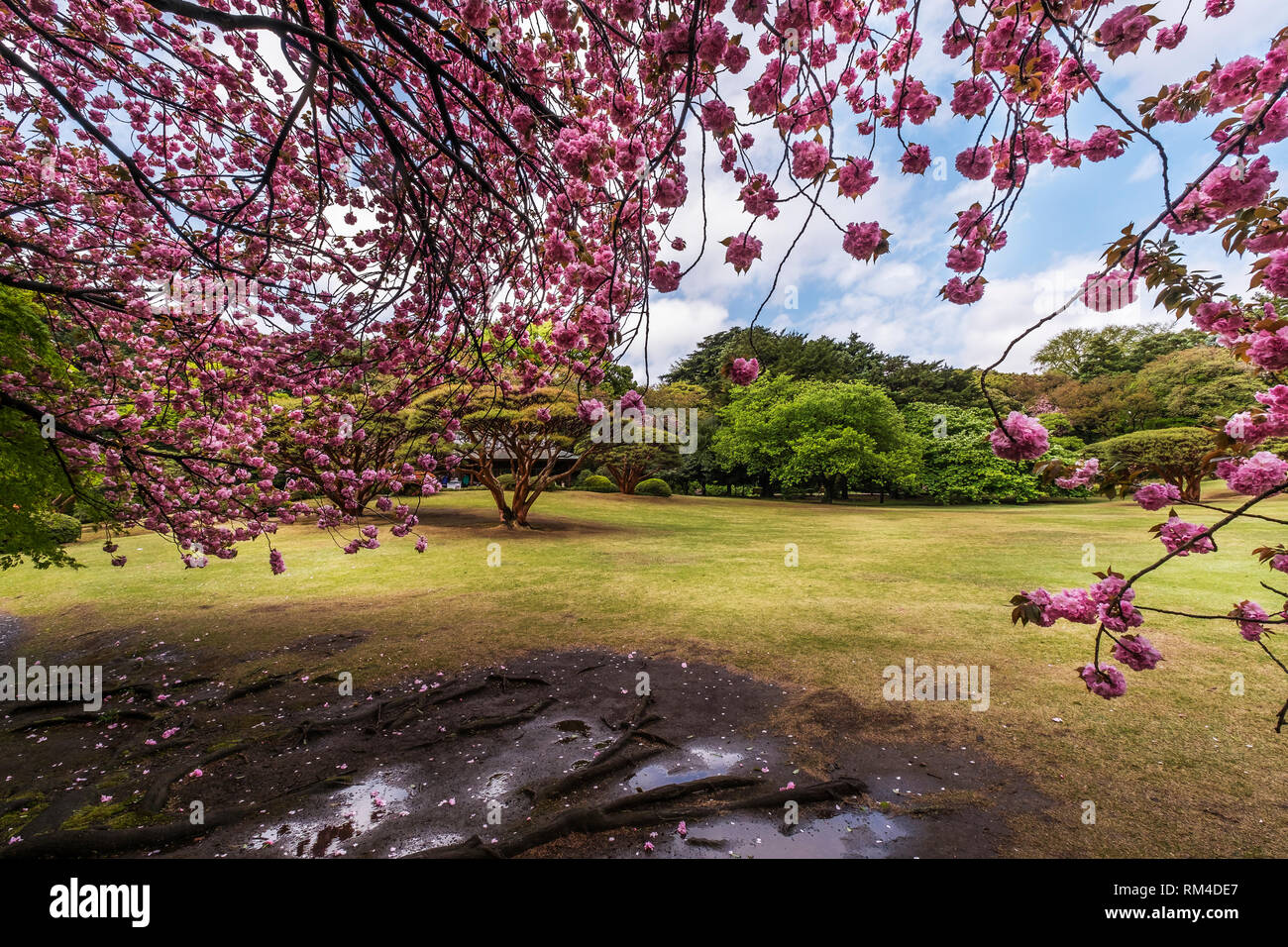 Japan traveling, landscape and citys Stock Photo - Alamy