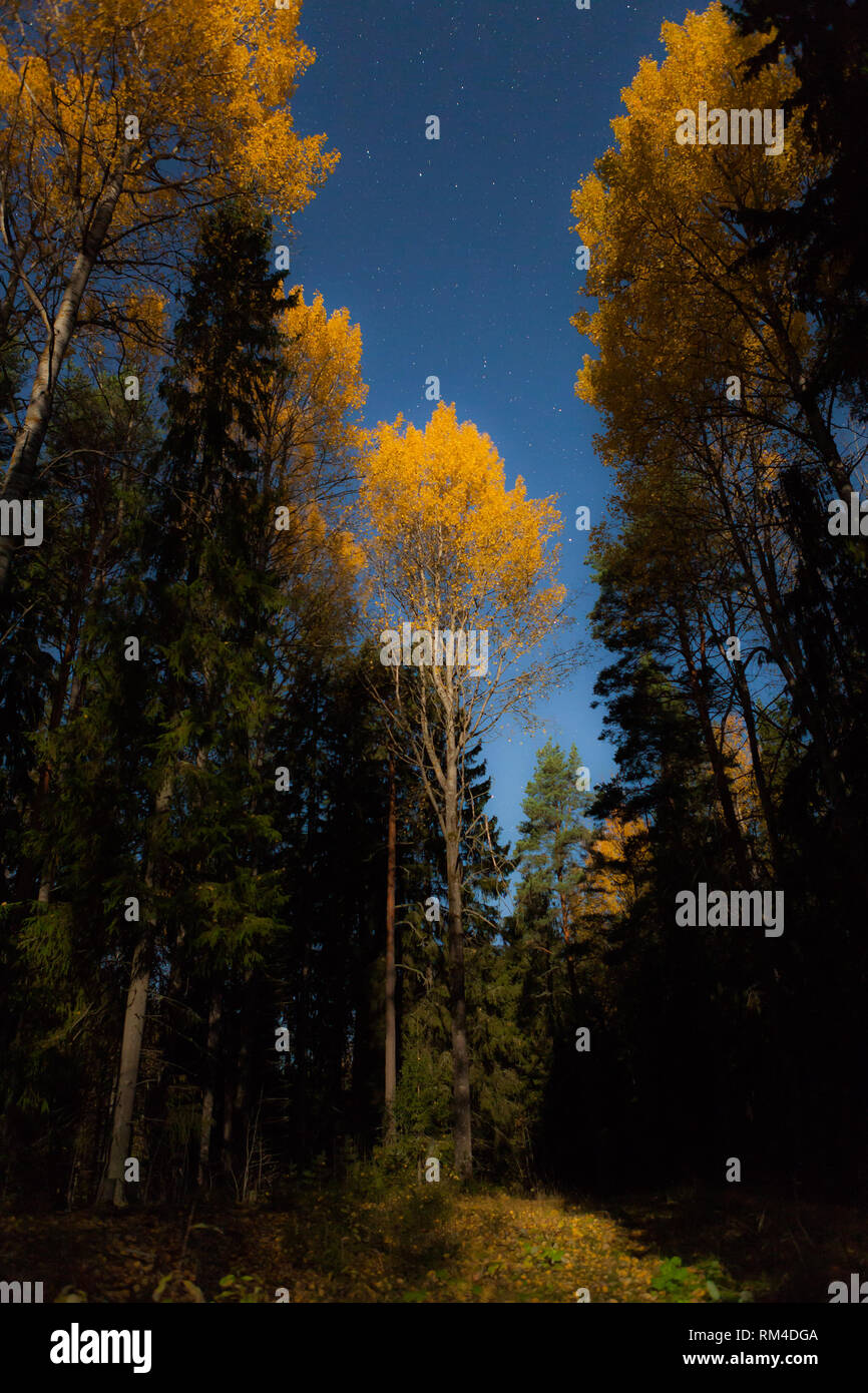 Starry sky hi-res stock photography and images - Alamy