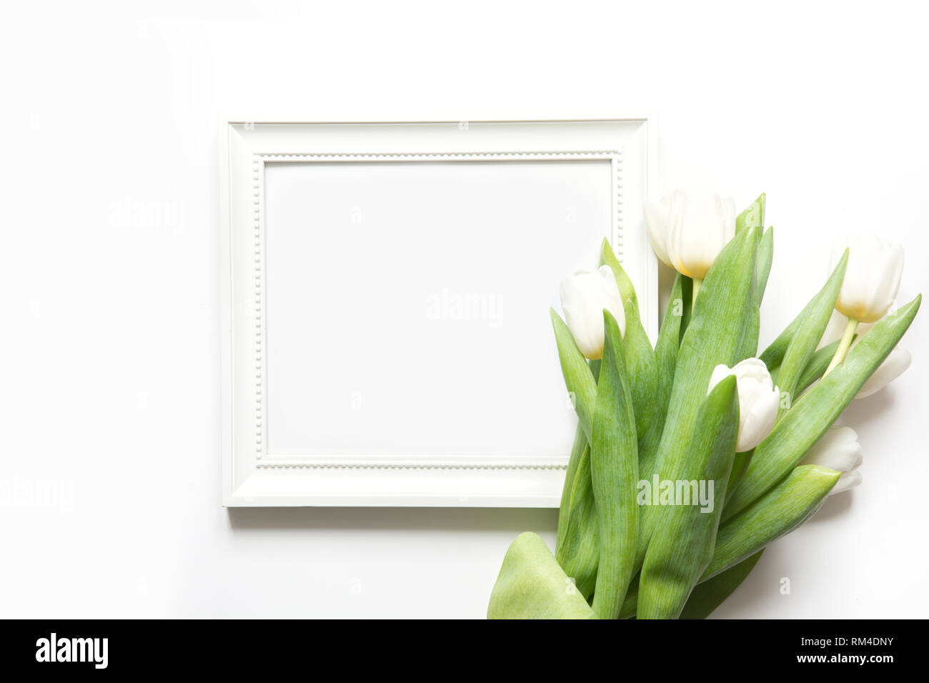 Tulip frame hi-res stock photography and images - Alamy