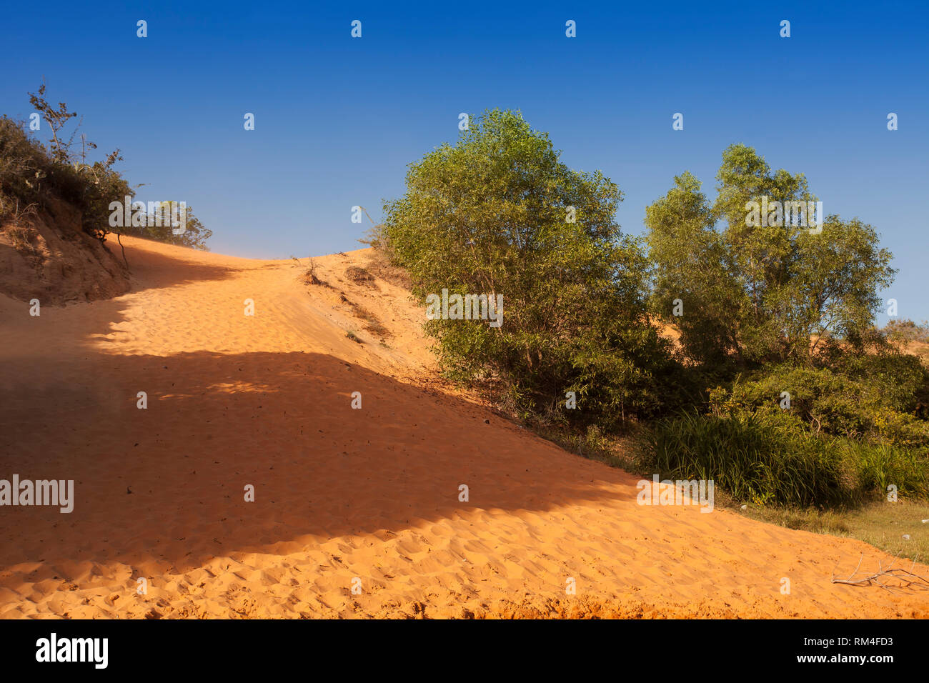 Red sand dunes of Mui Ne, Vietnam Stock Photo - Alamy