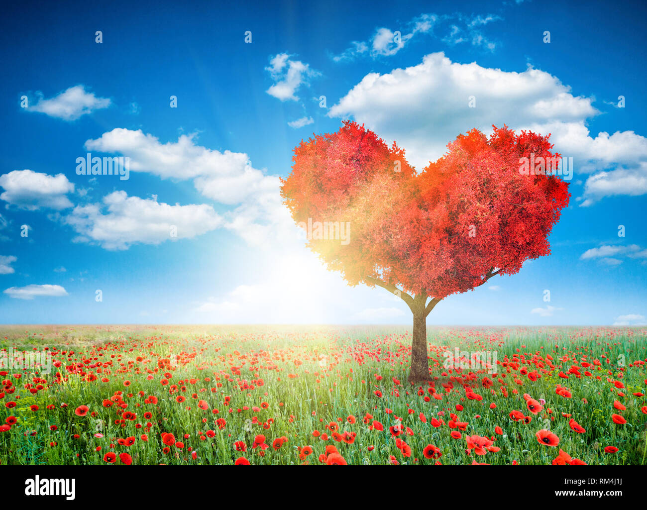 Fantasy romance hi-res stock photography and images - Alamy