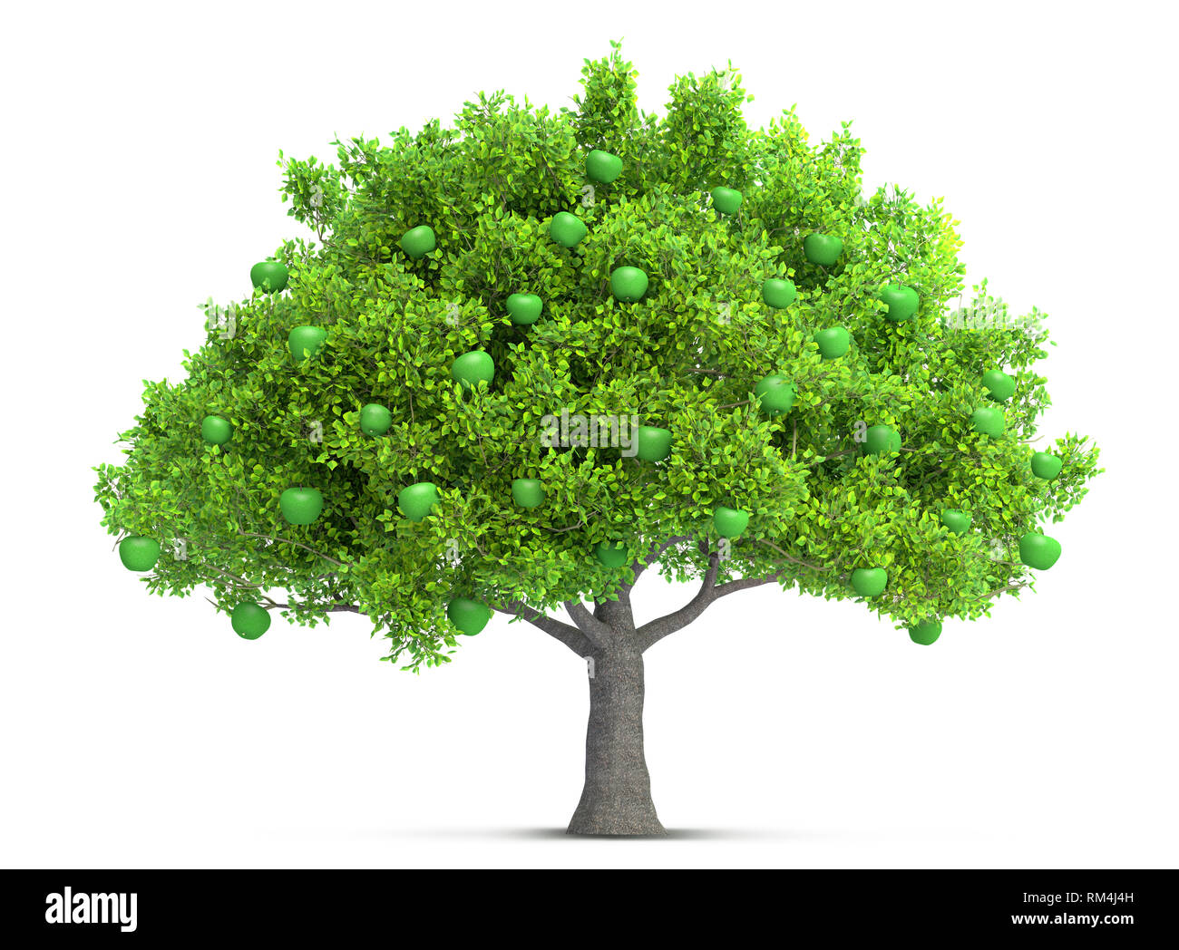 Branch apple tree leaves Cut Out Stock Images & Pictures - Alamy