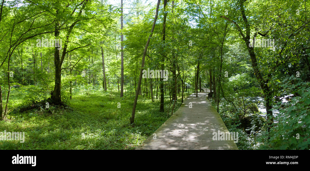 Beatiful forest park with a path in China Stock Photo - Alamy