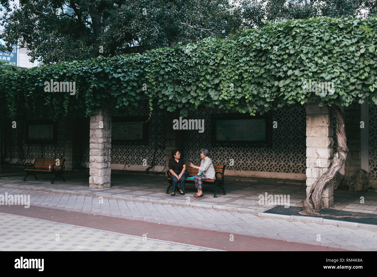People sitting on a bench in the City Tianjing, China Stock Photo - Alamy