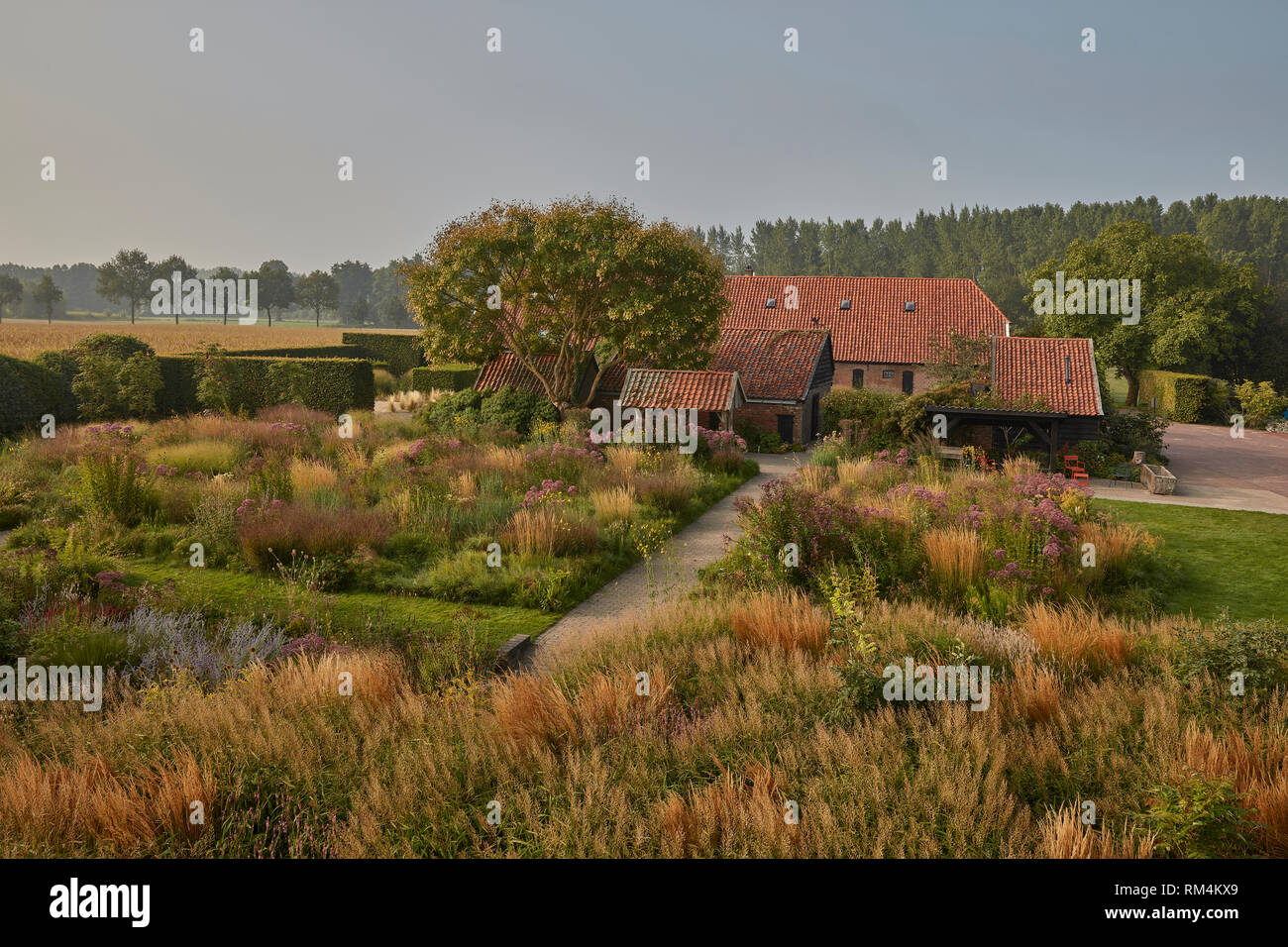 Grasses Designer Piet Oudolf High Resolution Stock Photography and ...