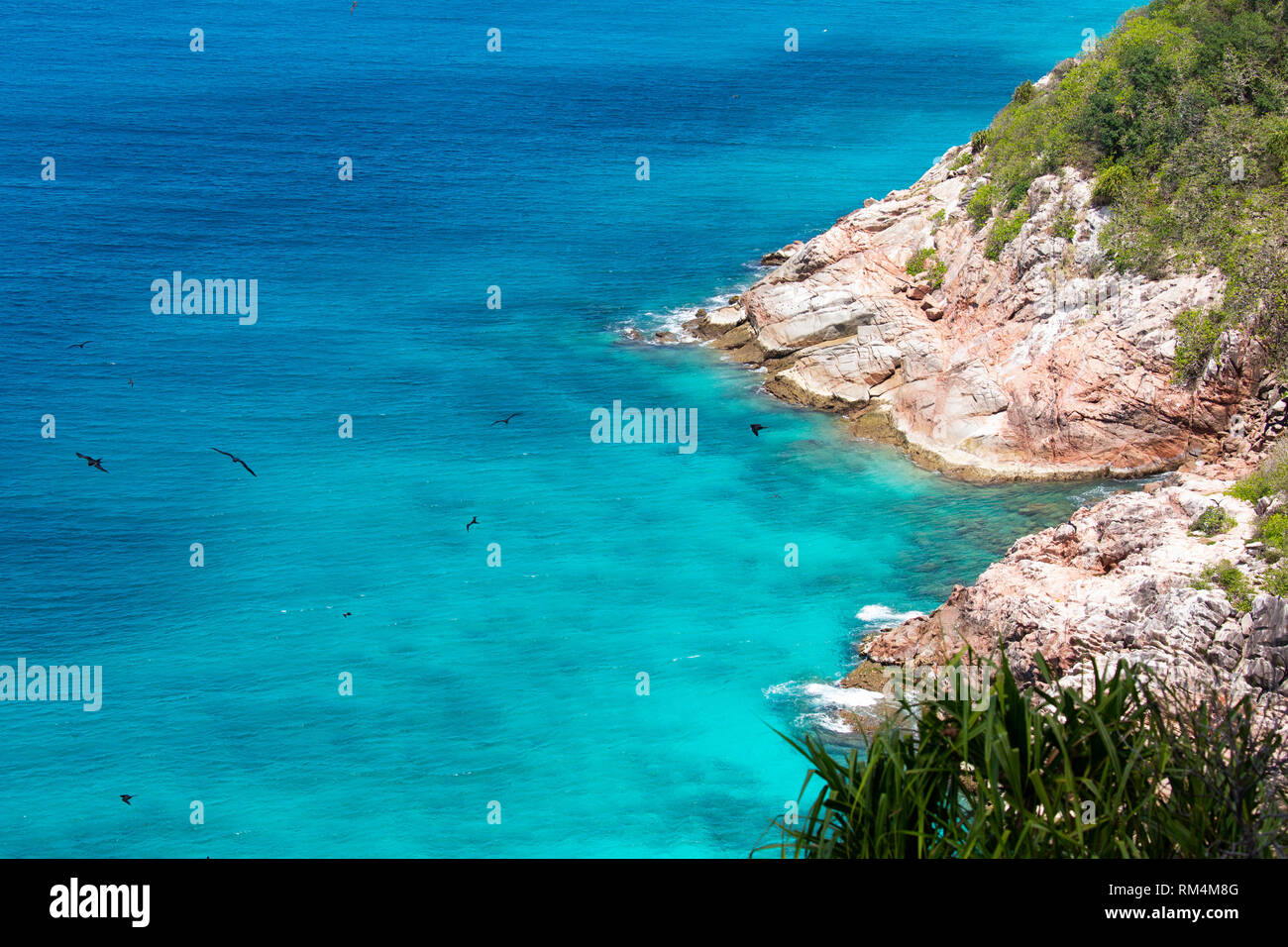 Ariel in hi-res stock photography and images - Alamy