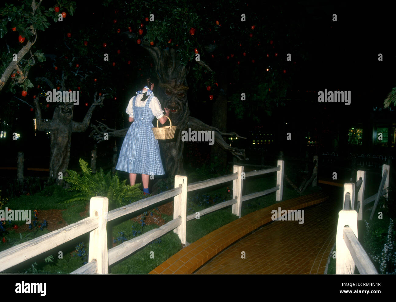 LAS VEGAS, NV - DECEMBER 31: A general view of atmosphere of Dorohty in ...
