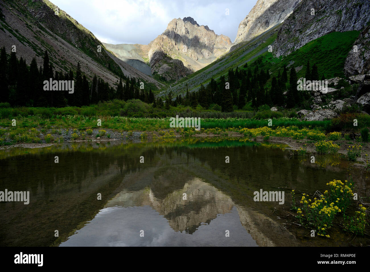 Pond in Kurgak Tor valley, Karakol area, Kyrgyzstan Stock Photo - Alamy