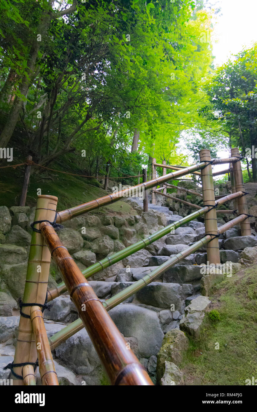 Path to forest in Japan Stock Photo - Alamy