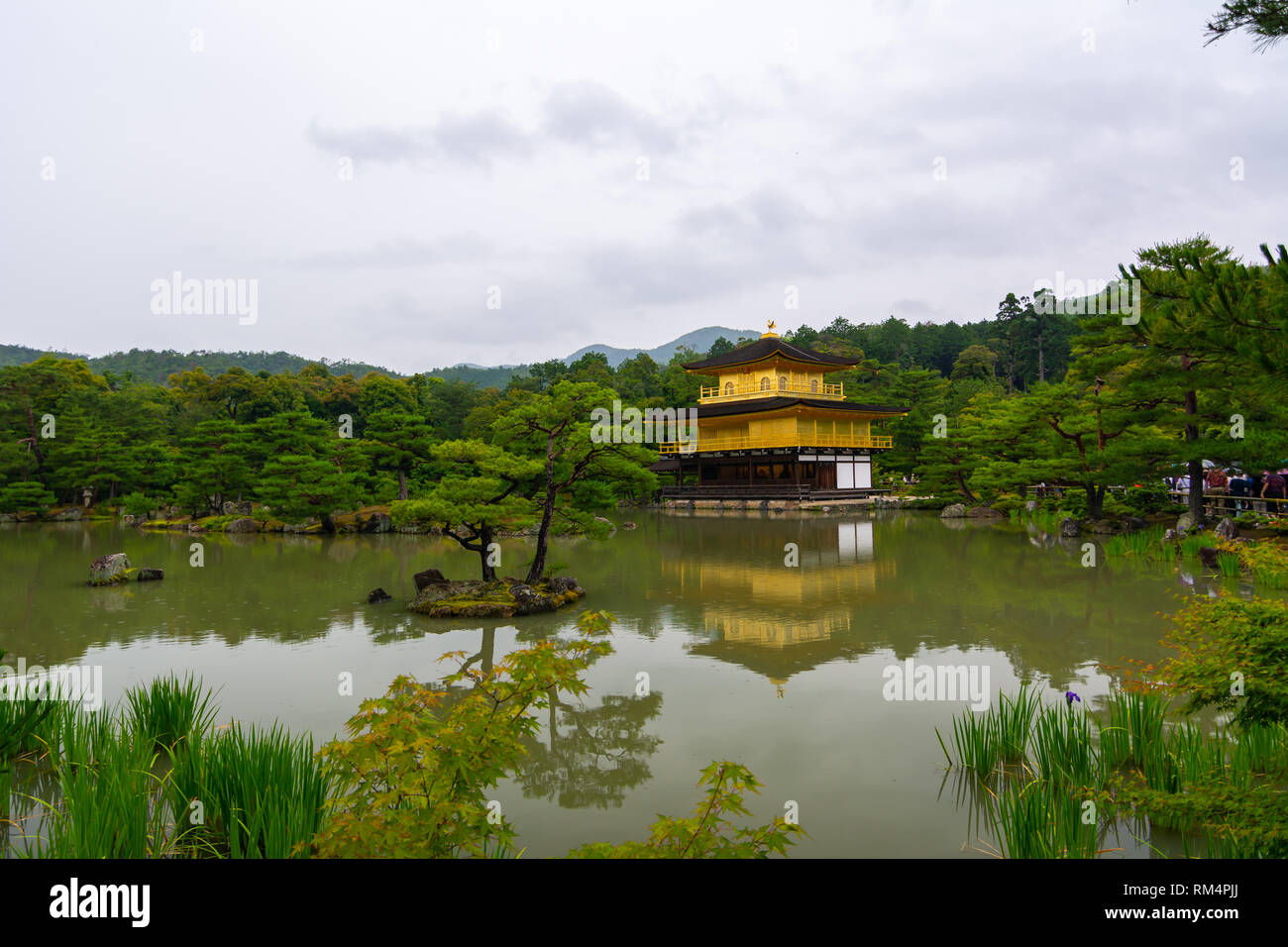Golden Castle in Japan Stock Photo - Alamy