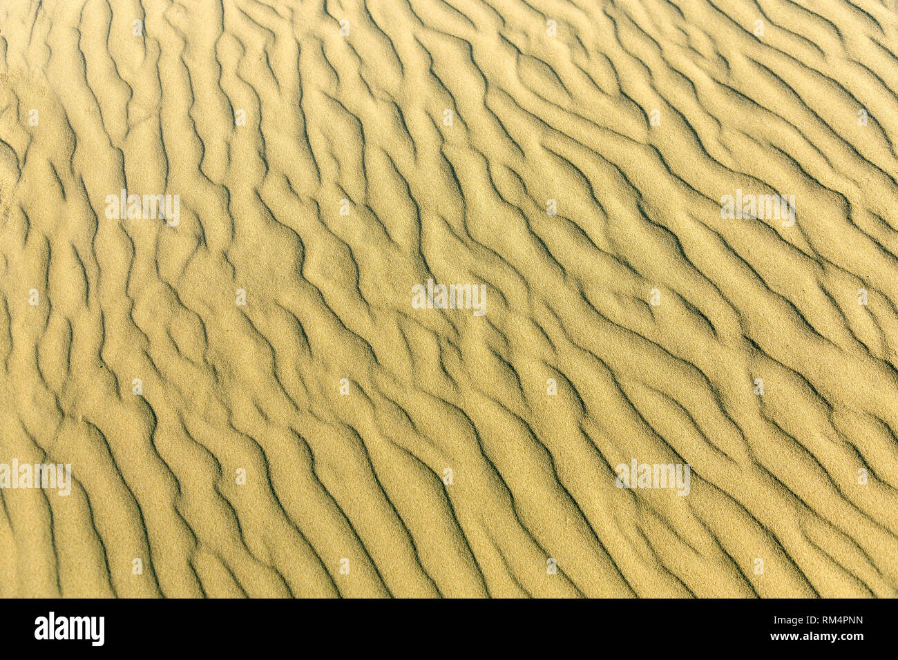 Wavy structure of sand hi-res stock photography and images - Alamy