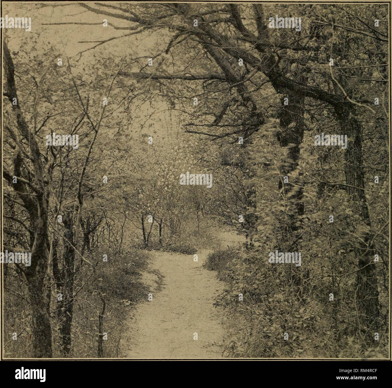 "The story of corn and the westward migration" (1916 Stock Photo - Alamy