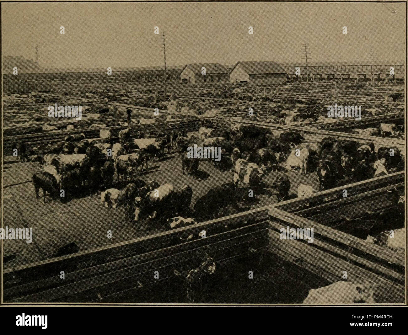 "The story of corn and the westward migration" (1916 Stock Photo - Alamy