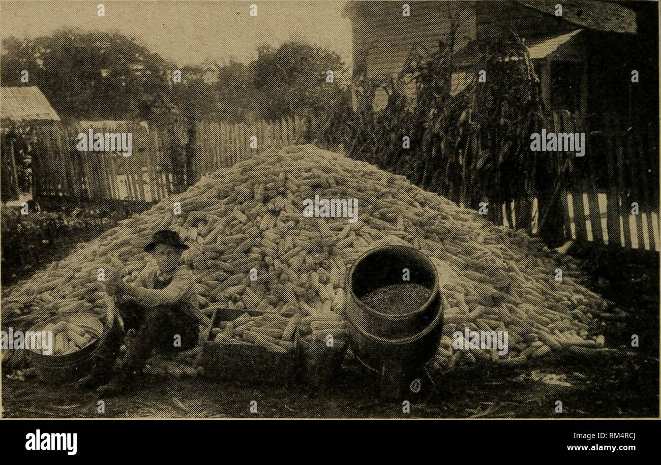 "The story of corn and the westward migration" (1916 Stock Photo - Alamy