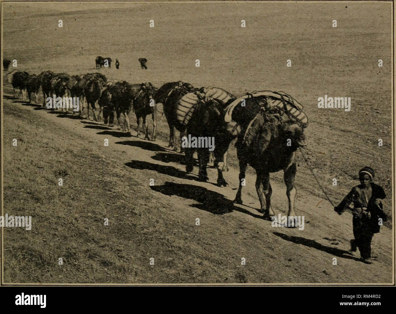"The story of corn and the westward migration" (1916 Stock Photo - Alamy