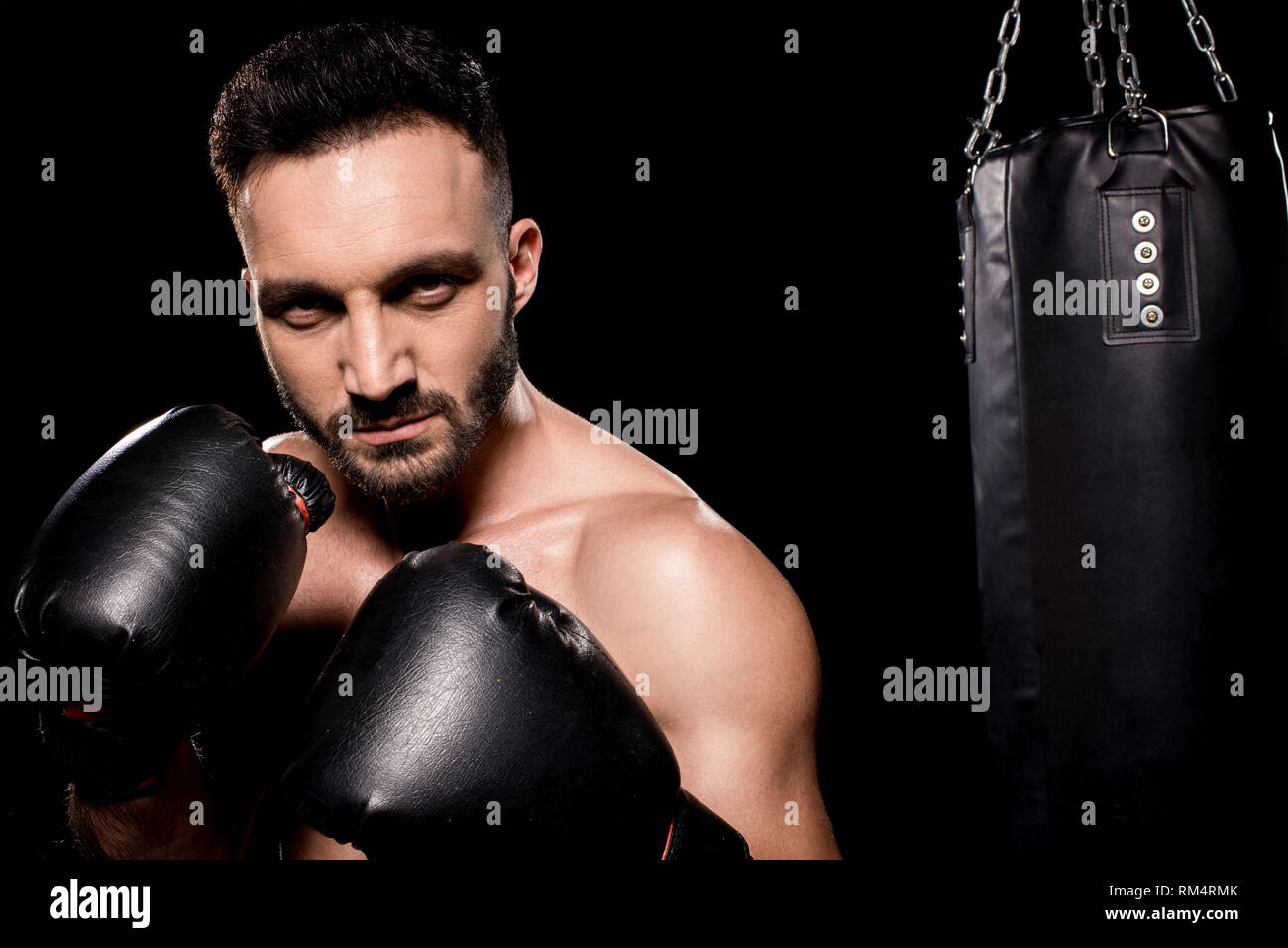 sportsman wearing boxing gloves standing in boxing pose isolated on ...