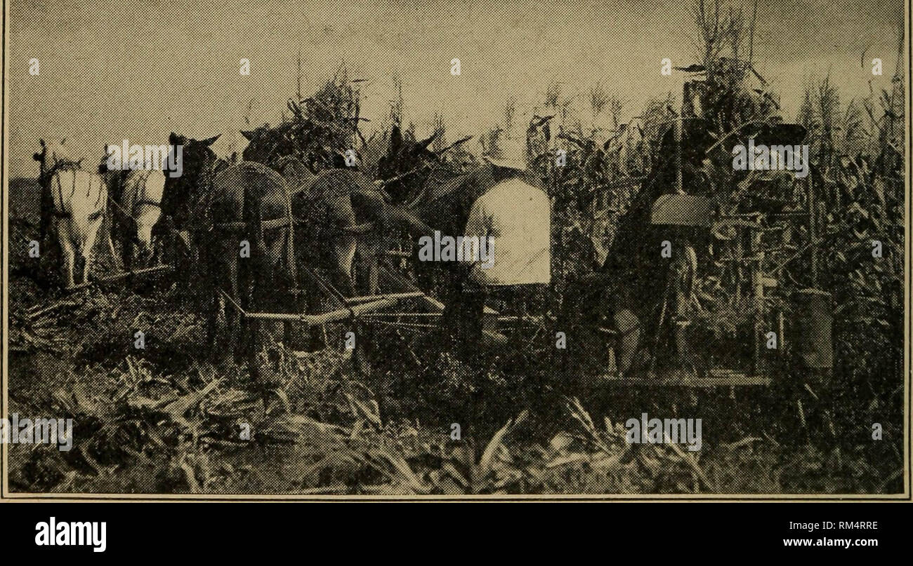 "The story of corn and the westward migration" (1916 Stock Photo - Alamy