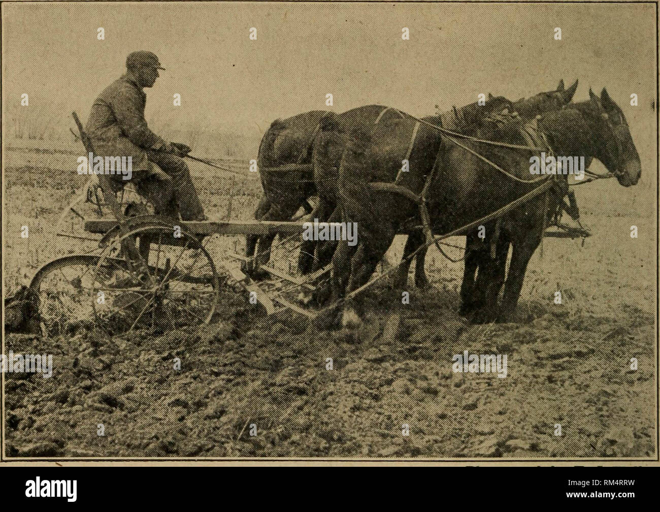 "The story of corn and the westward migration" (1916 Stock Photo - Alamy