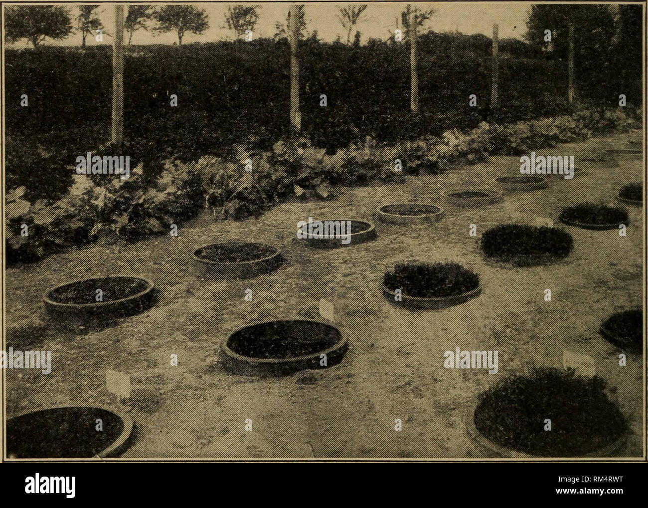 "The story of corn and the westward migration" (1916 Stock Photo - Alamy