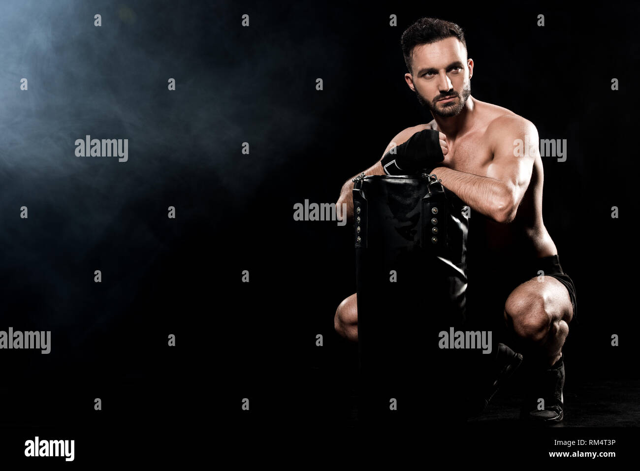 Boxer sitting hi-res stock photography and images - Alamy