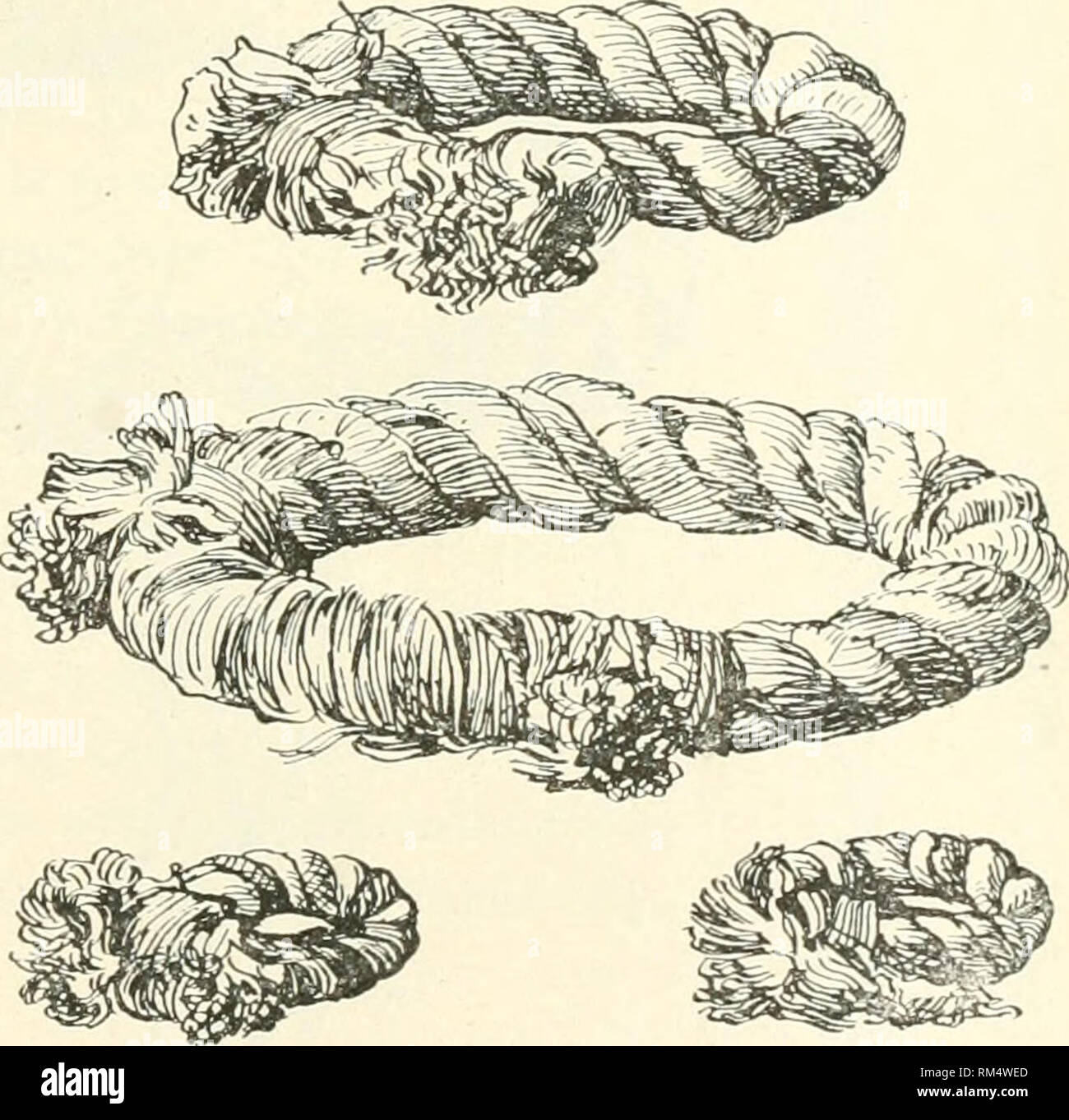 Hamatsa dance hi-res stock photography and images - Alamy