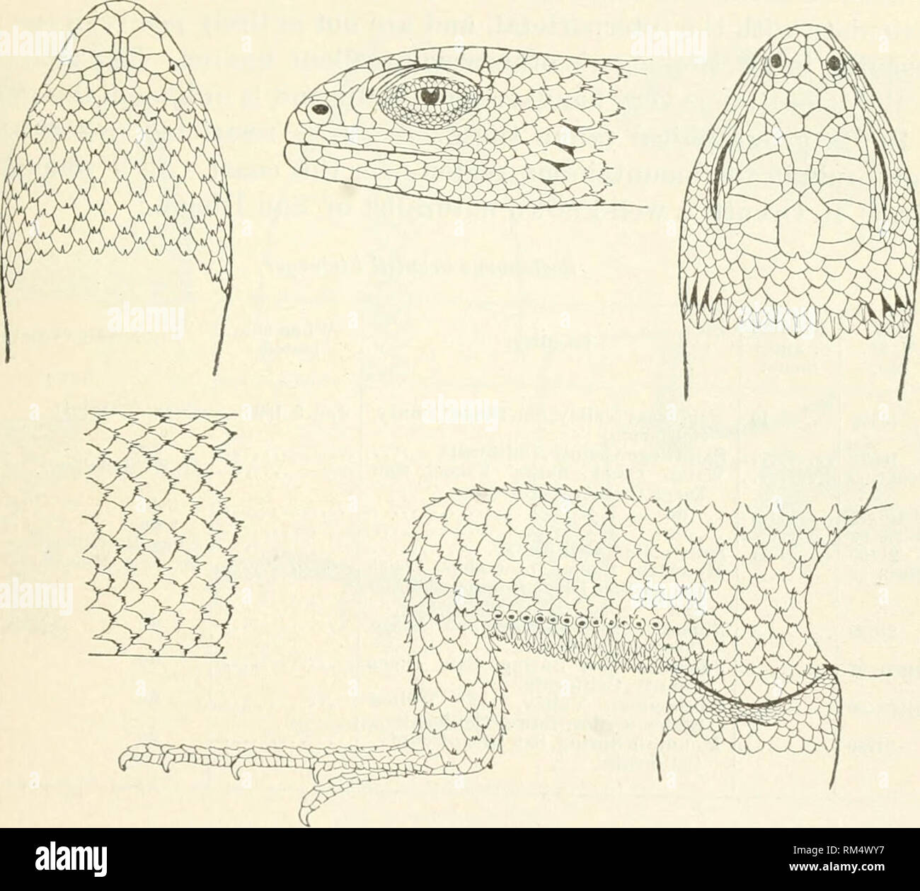 . Annual report of the Board of Regents of the Smithsonian Institution ...