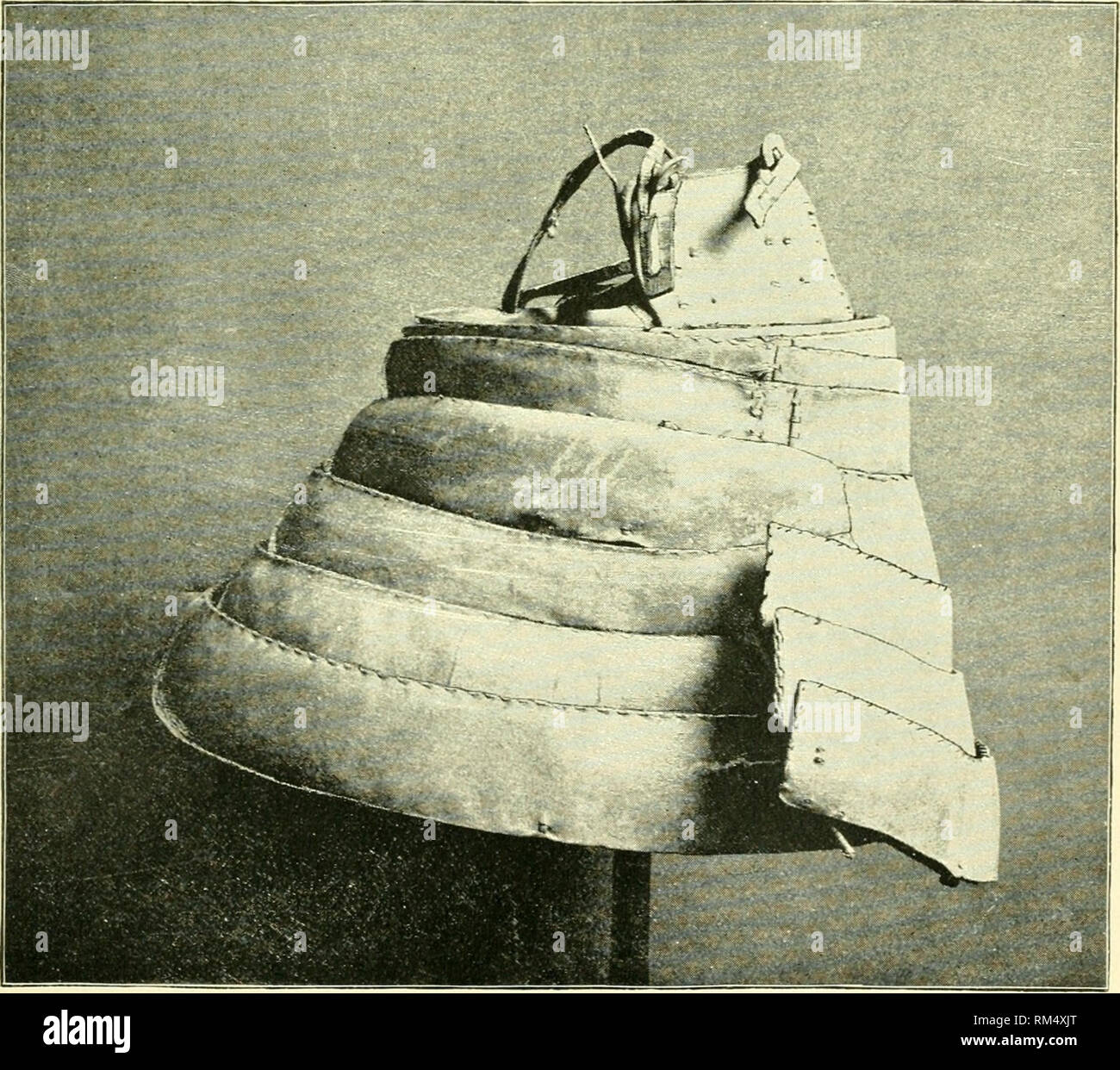 . Annual report of the Board of Regents of the Smithsonian Institution ...