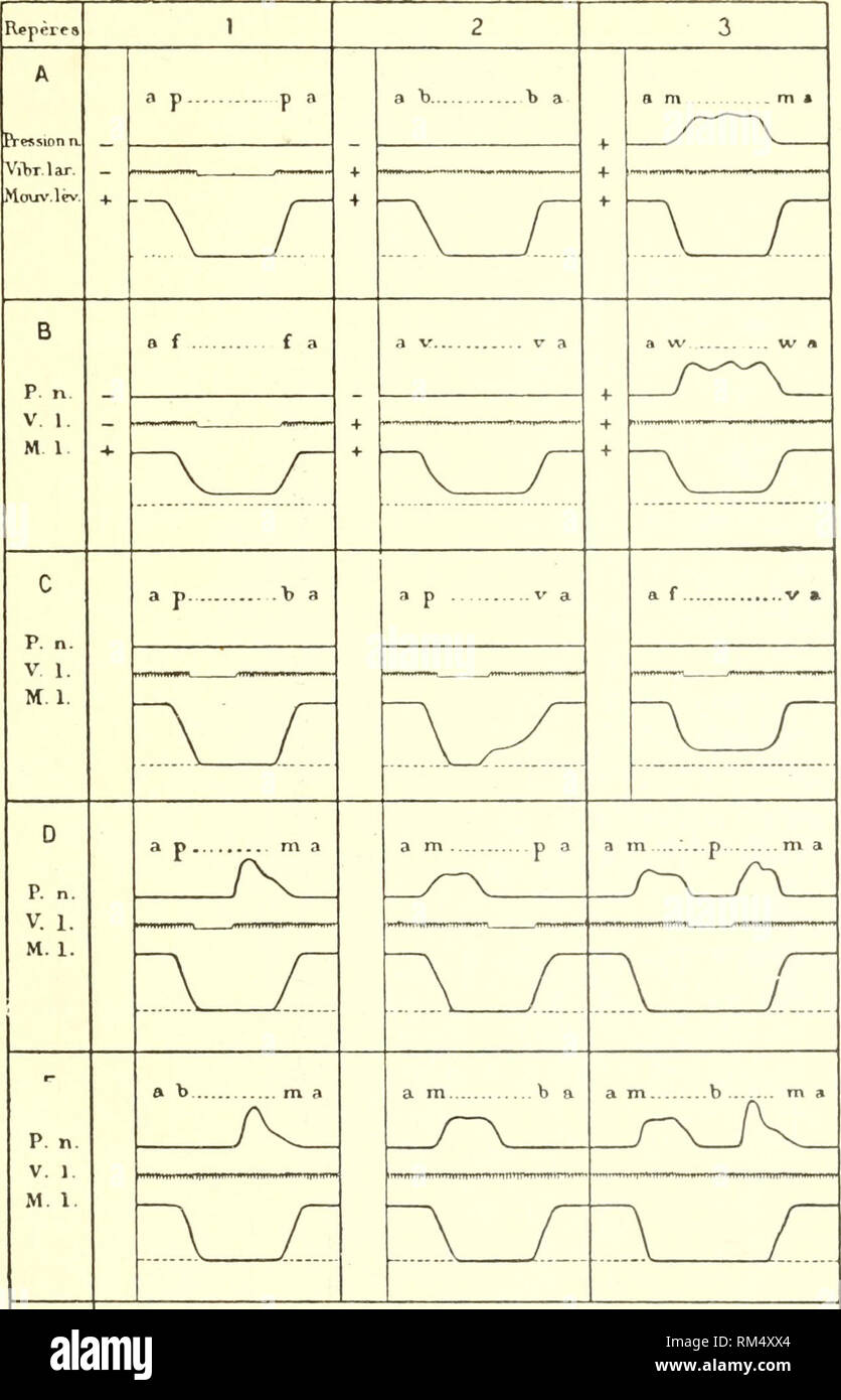 Experimental phonetics hi-res stock photography and images - Alamy