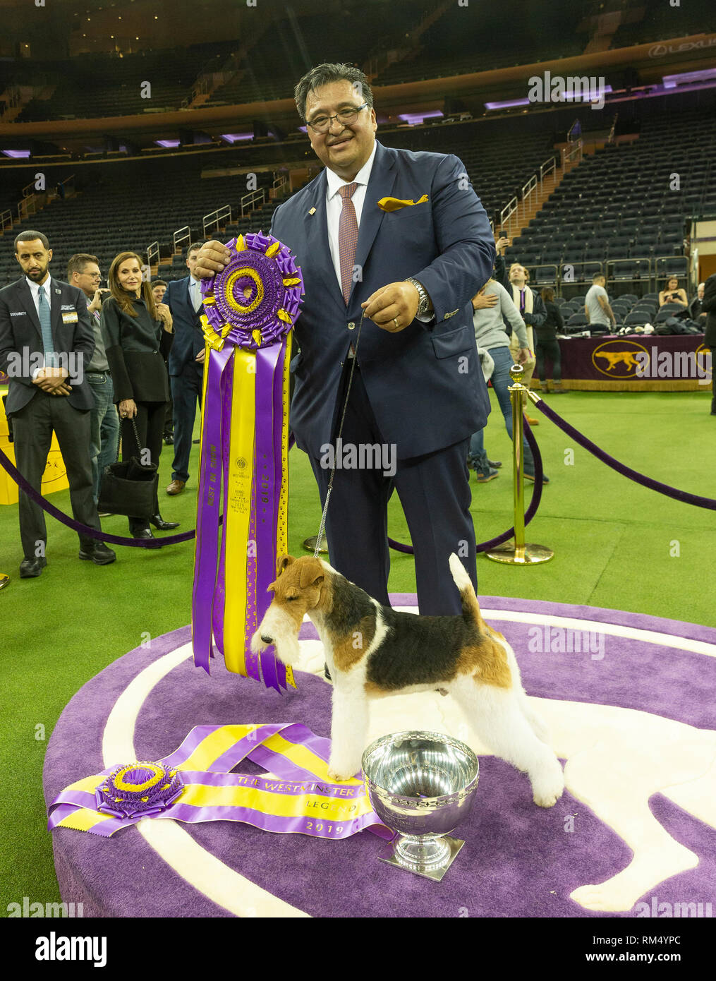 New York, United States. 13th Feb, 2019. Wire fox terrier named King ...