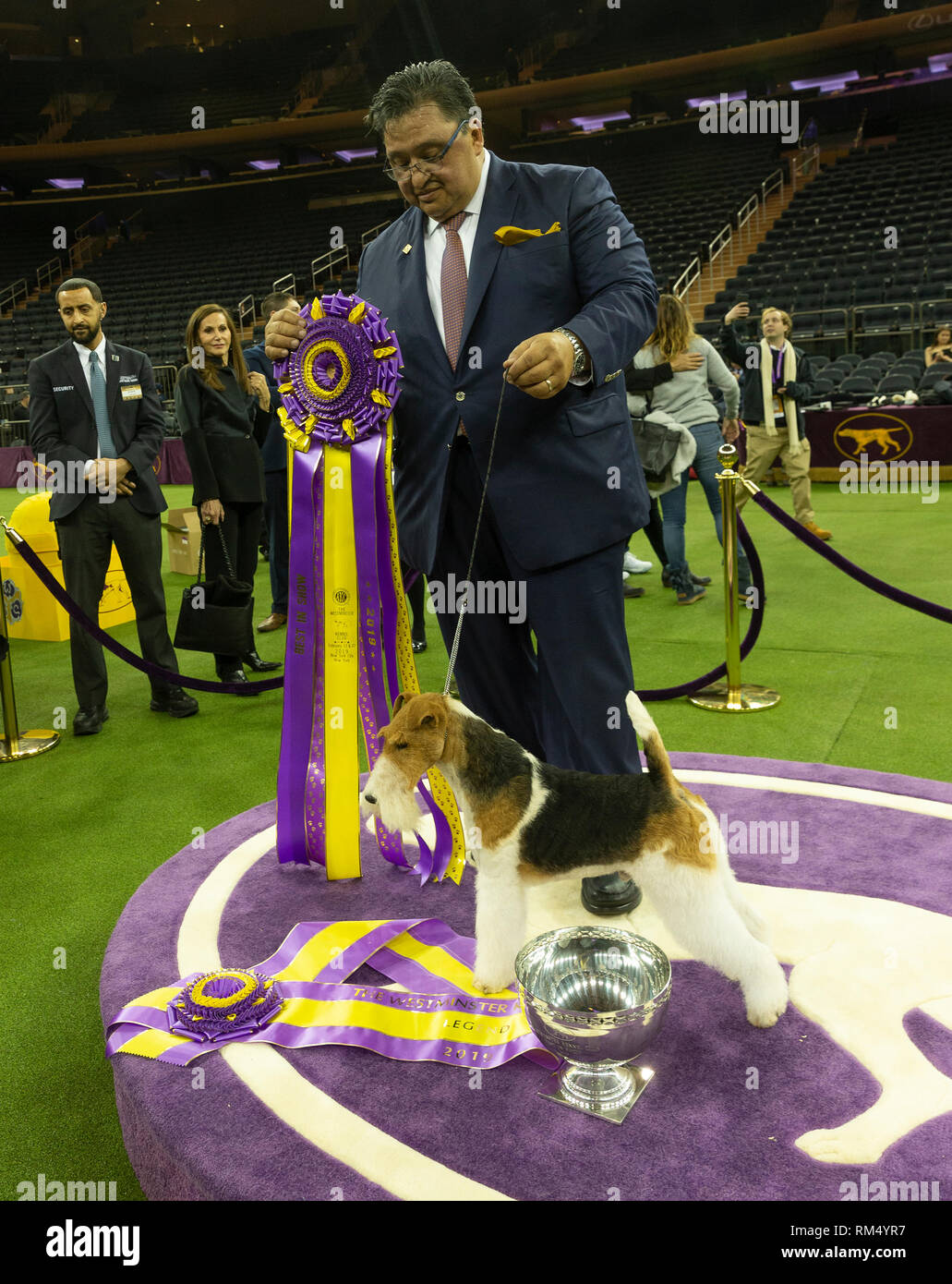 New York, United States. 13th Feb, 2019. Wire fox terrier named King ...